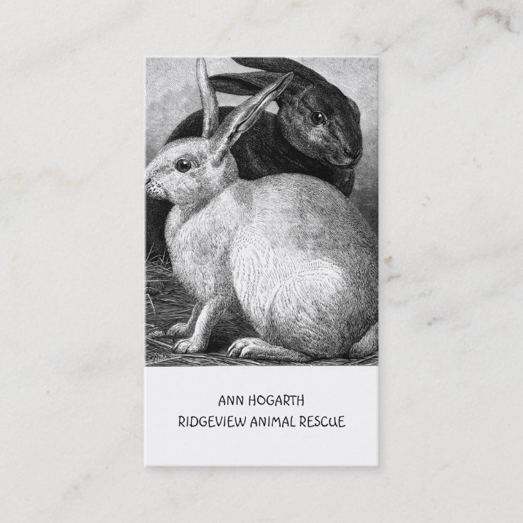 Animal Rescue Or Shelter Business Card | Zazzle