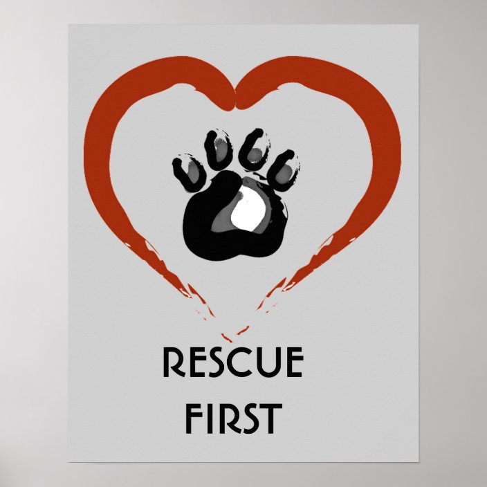 Animal Rescue poster | Zazzle.com
