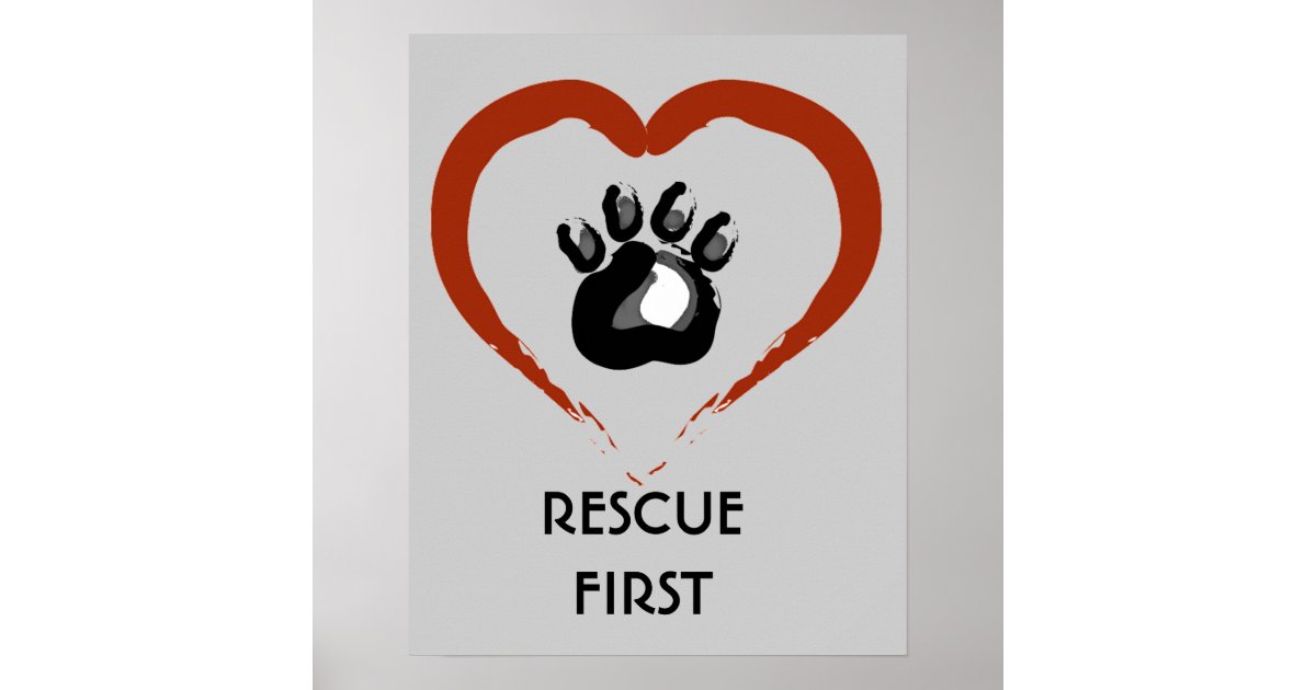Animal Rescue poster | Zazzle