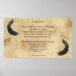 Animal Rights Poem & Bald Eagles Literary Poster | Zazzle