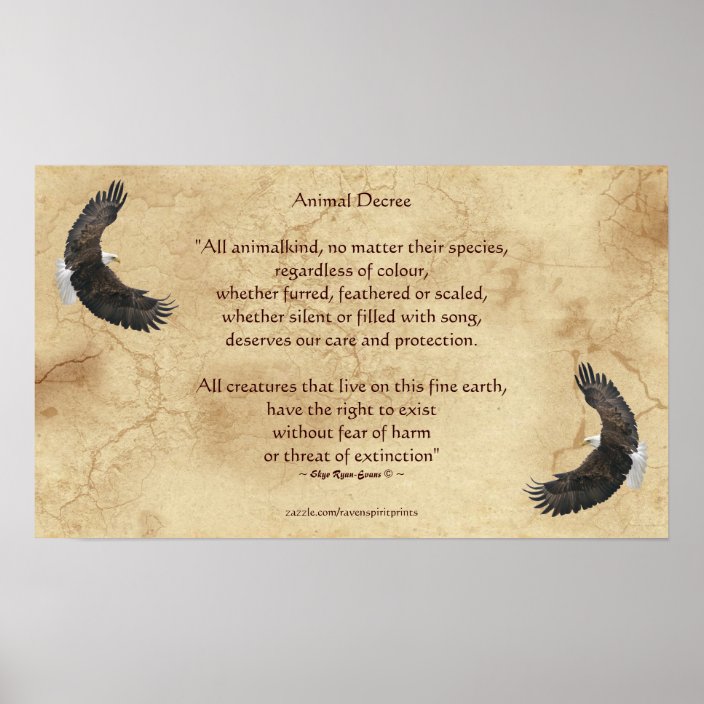 Animal Rights Poem & Bald Eagles Literary Poster | Zazzle.com