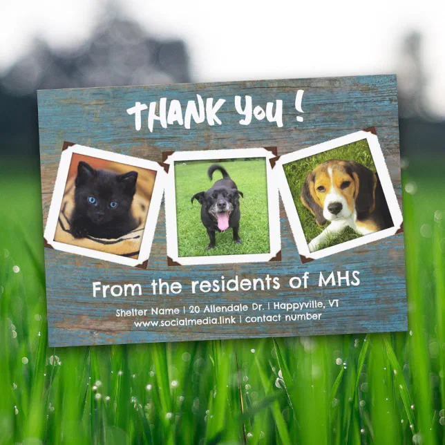 Animal Shelter Thank You Photo Templates Card | Zazzle