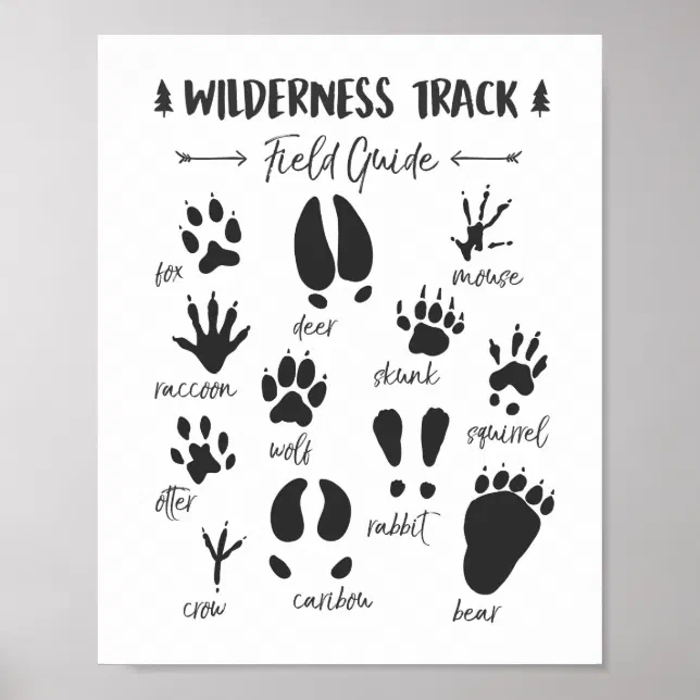 Animal Track nursery print Woodland Nursery | Zazzle