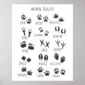 Animal Tracks Poster | Zazzle