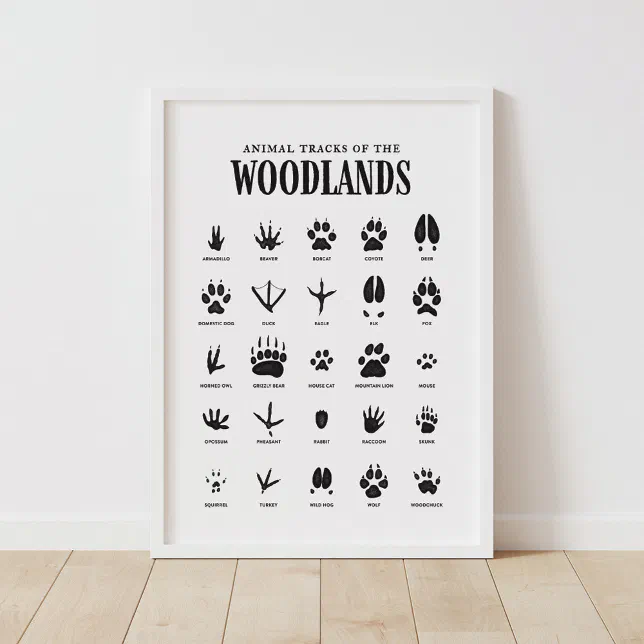Animal Tracks Woodland Nursery Decor | Zazzle