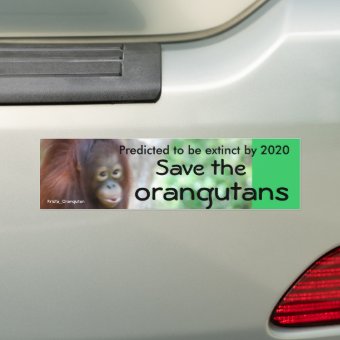 Animal Wildlife Conservation Bumper Sticker | Zazzle