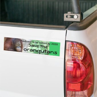 Animal Wildlife Conservation Bumper Sticker | Zazzle