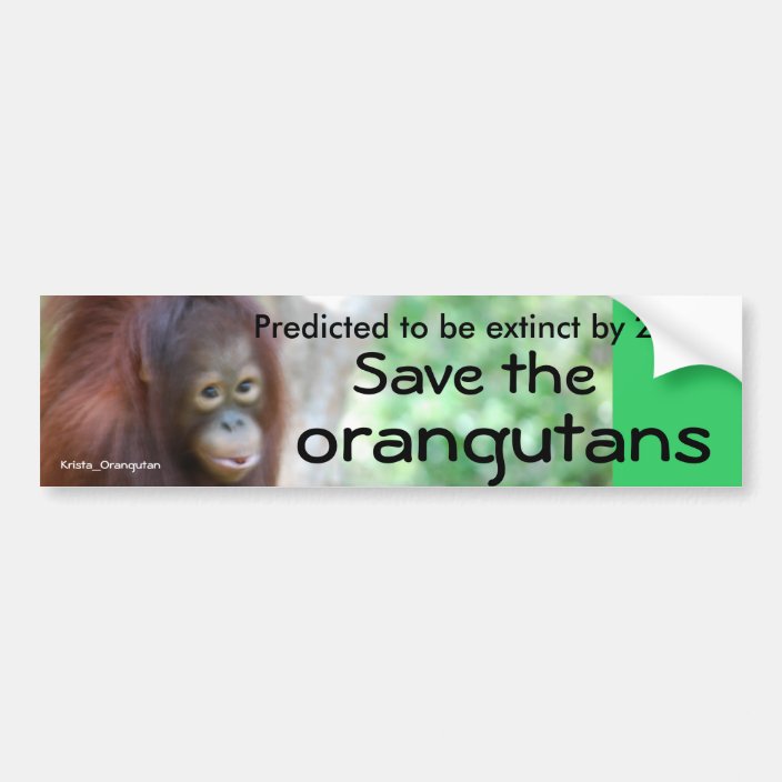 Animal Wildlife Conservation Bumper Sticker | Zazzle.com