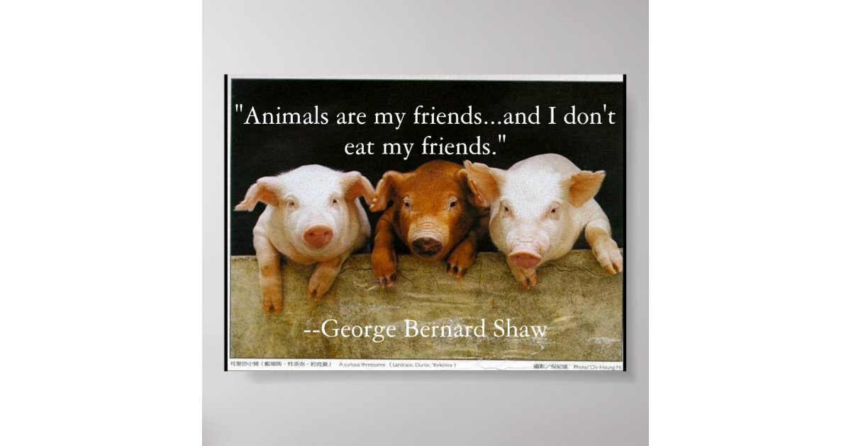 animals are my friends poster | Zazzle