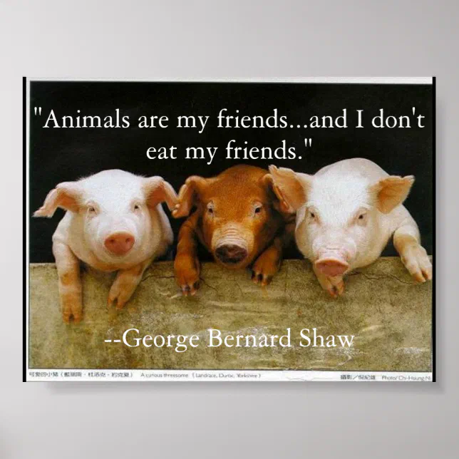 animals are my friends poster | Zazzle