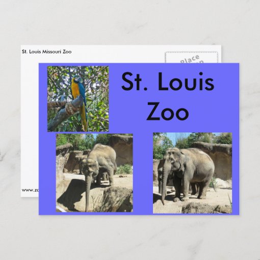 Animals at the Zoo Postcard | Zazzle