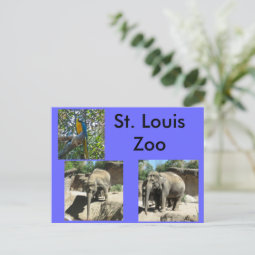 Animals at the Zoo Postcard | Zazzle