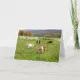 Animals Goats Pasture Vermont Photo Sympathy Card | Zazzle