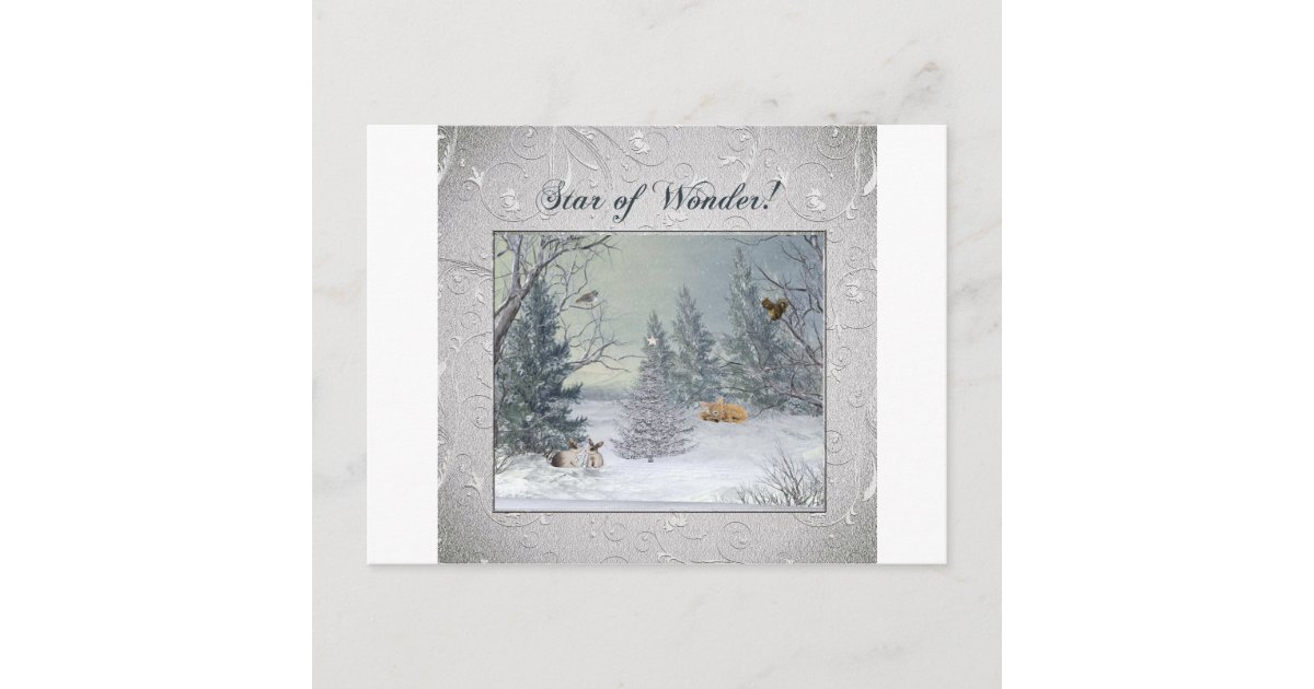 Animals in the Winter Forest, Tree with Star, Star Postcard | Zazzle