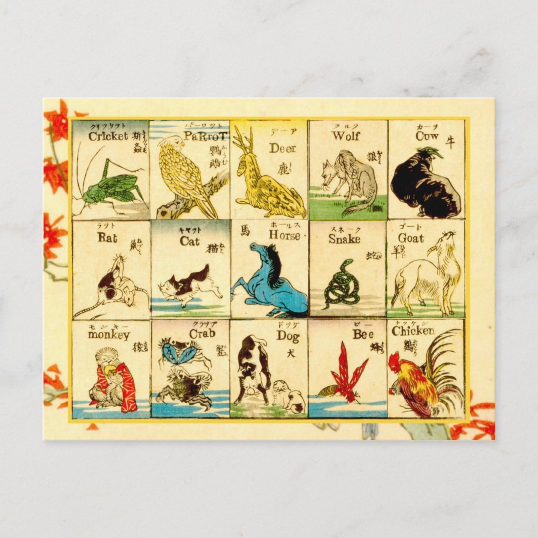 Animals labeled in Japanese & English Postcard | Zazzle