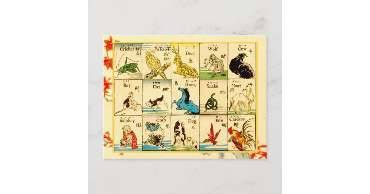 Animals labeled in Japanese & English Postcard | Zazzle