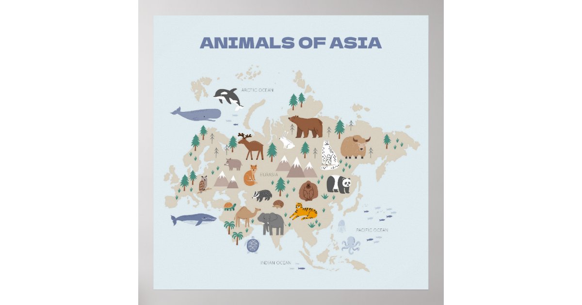 Animals of Asia Illustrated Map Poster | Zazzle