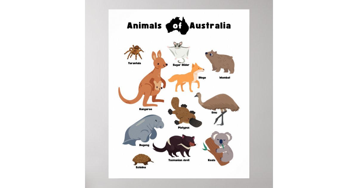 Animals of Australia Aussie Wildlife Poster | Zazzle
