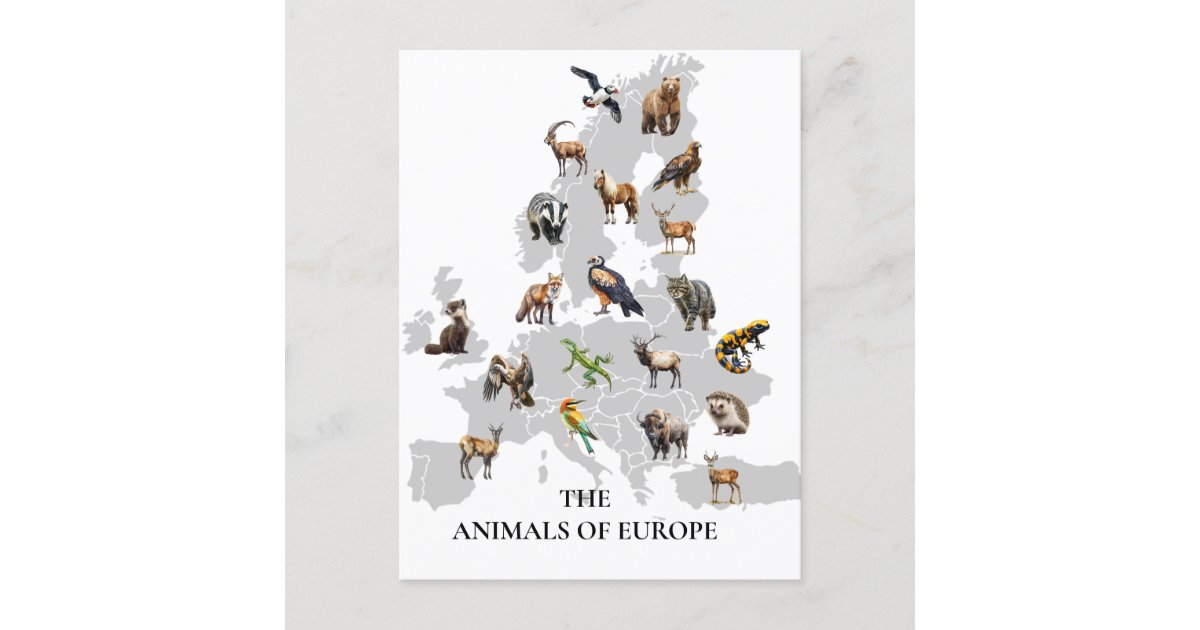 Animals of Europe European Postcard | Zazzle