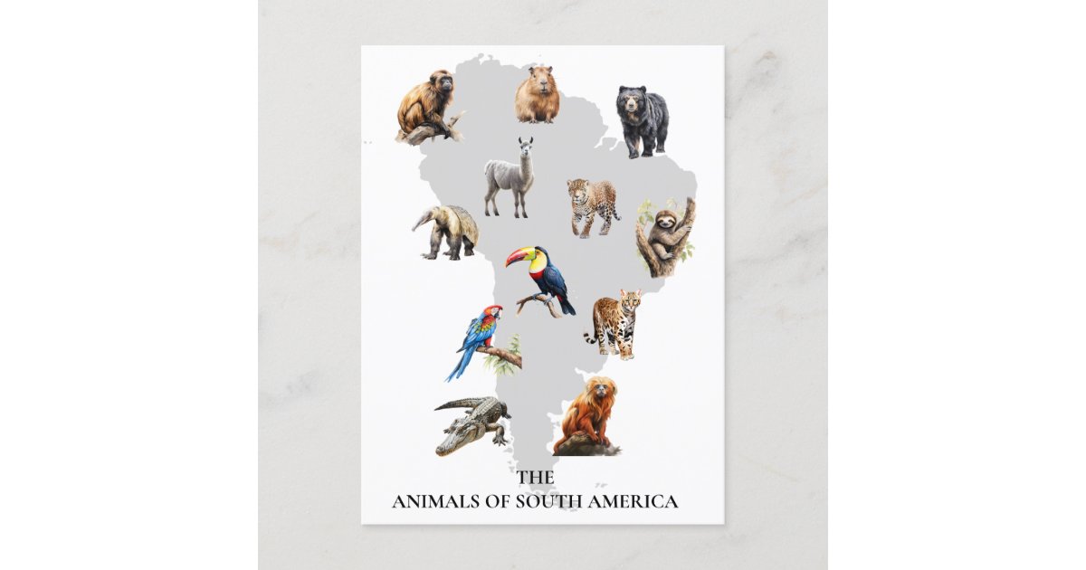 Animals of South America Wildlife Postcard | Zazzle