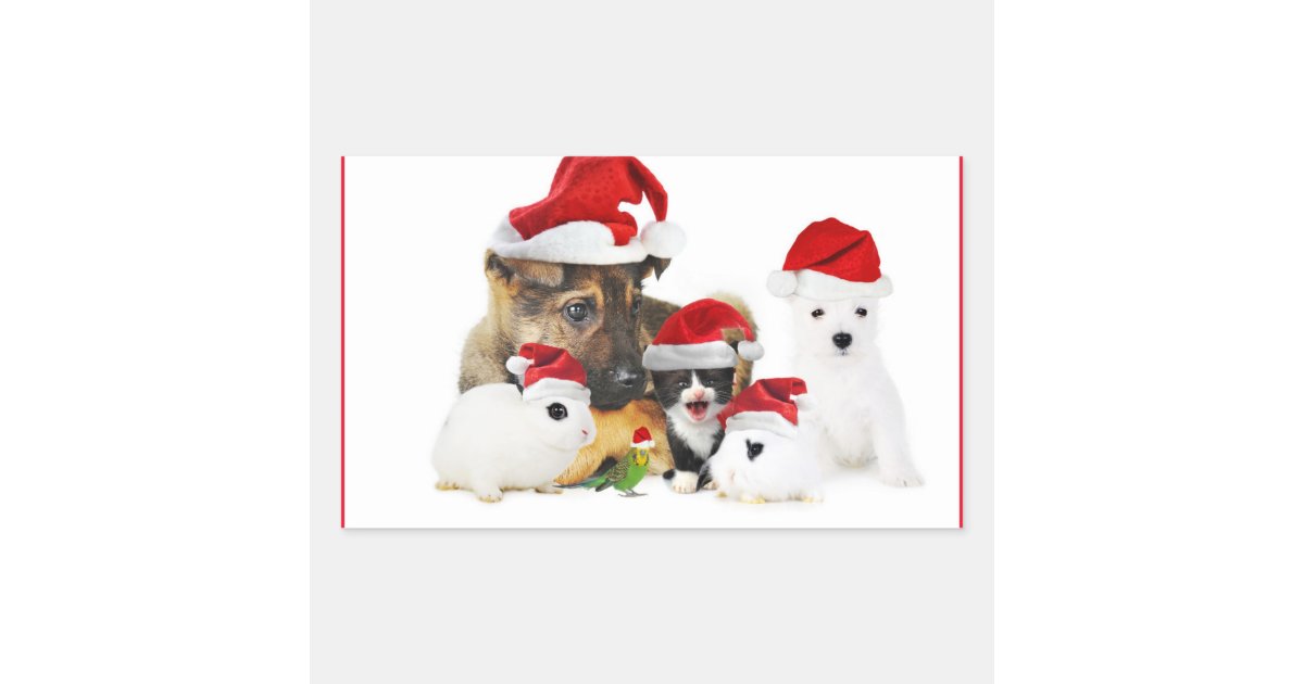 Animals Rectangular Sticker | Zazzle