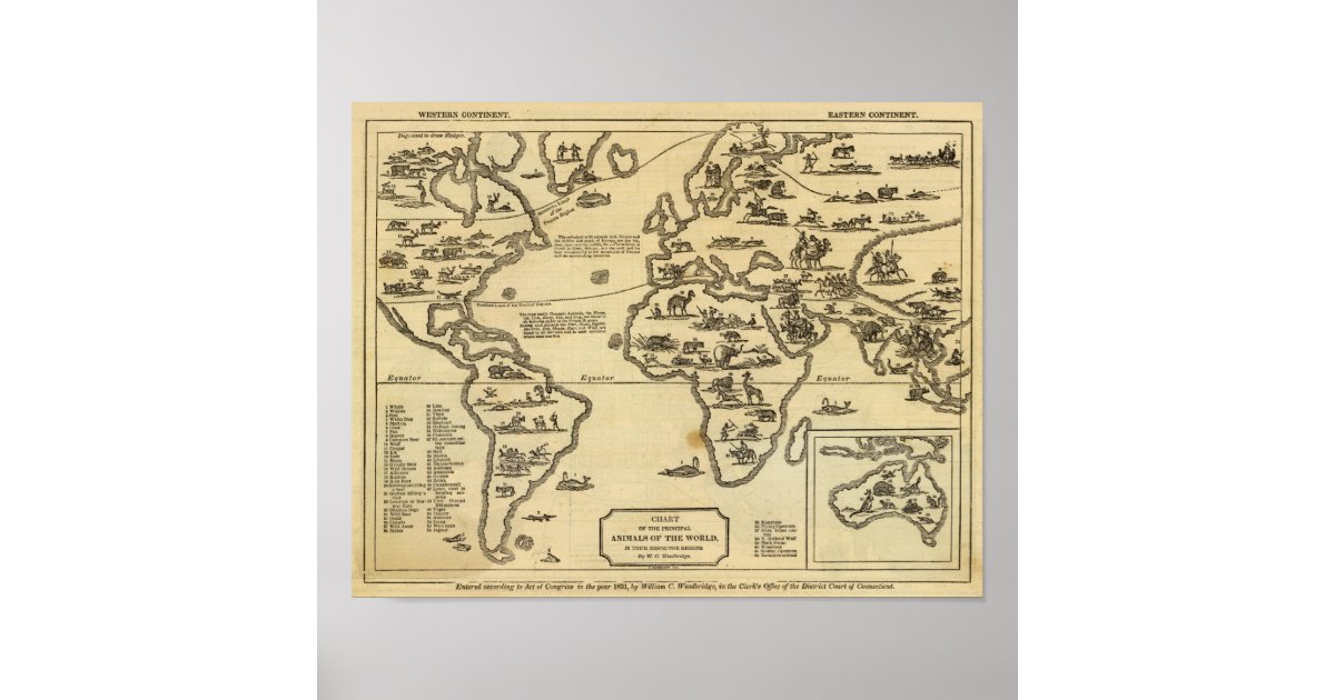 Animals World Poster | Zazzle