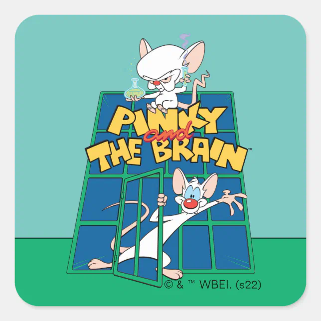 Animaniacs | Pinky and The Brain Cage Graphic Square Sticker | Zazzle