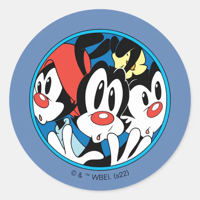 Animaniacs | Warner Siblings Circle Graphic Classic Round Sticker | Zazzle