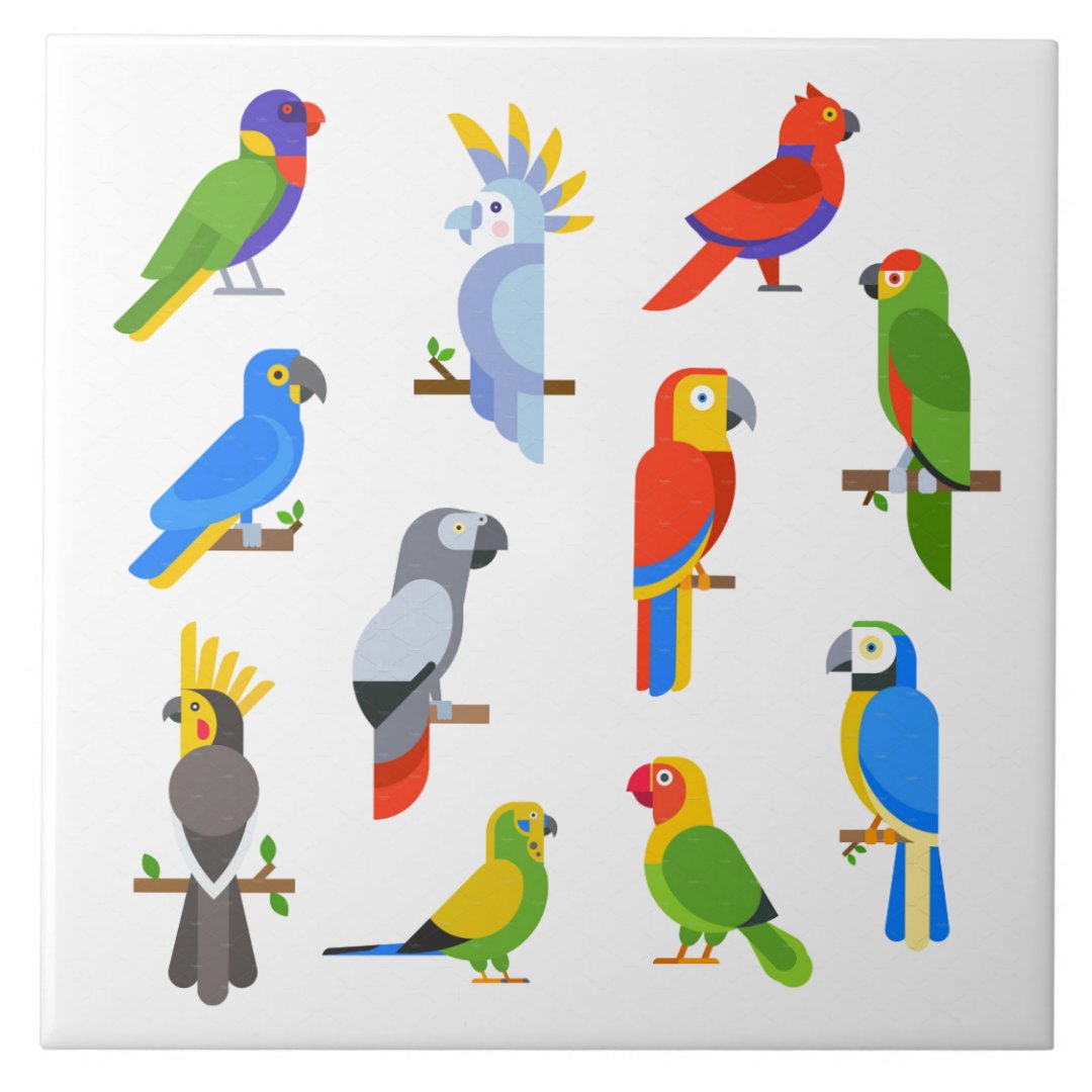 Animated Parrots Background Ceramic Tile | Zazzle