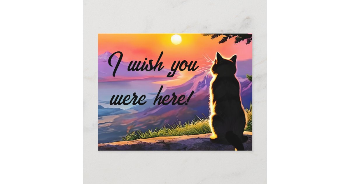 Anime cat in sunset postcard | Zazzle