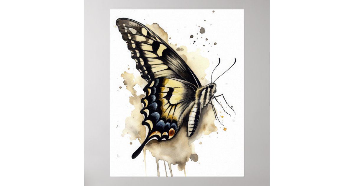 Anise Swallowtail Butterfly Art Print Poster | Zazzle