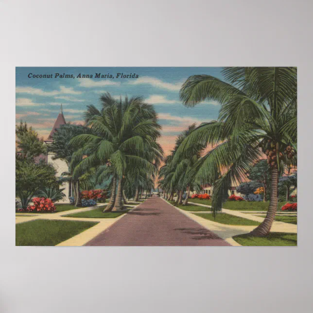 Anna Maria, Florida - View of Palms Along Street Poster | Zazzle