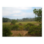 Sonoma Landscape ! Postcard | Zazzle.com