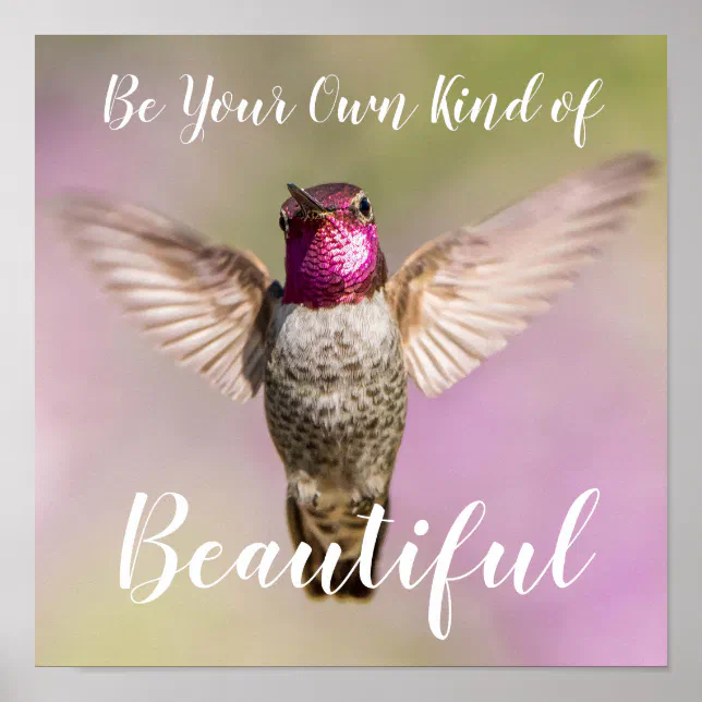 Anna's Hummingbird Inspirational Beauty Poster | Zazzle