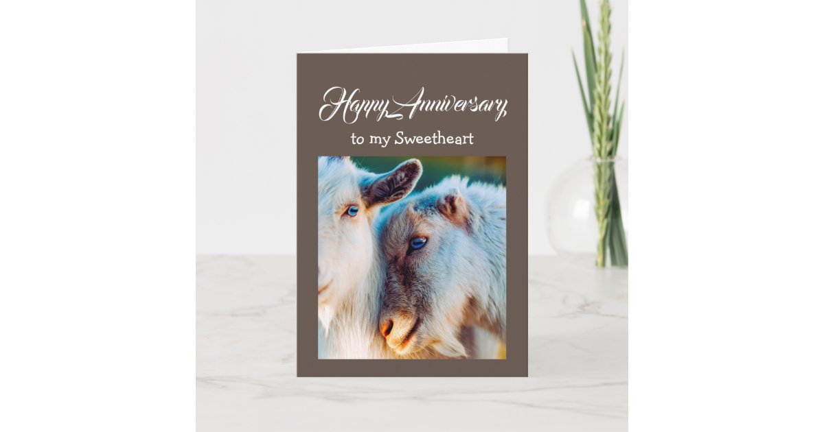 Anniversary Sweetheart fr OLD GOAT Loves YOU Card | Zazzle