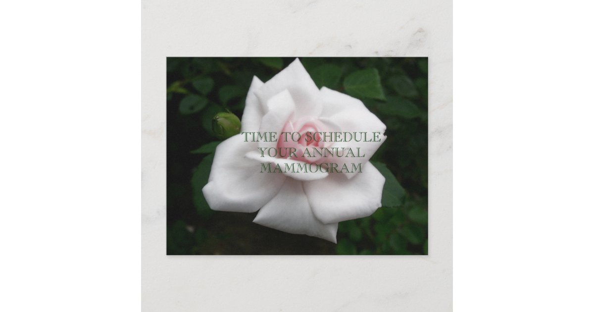 Annual Mammogram Postcard | Zazzle