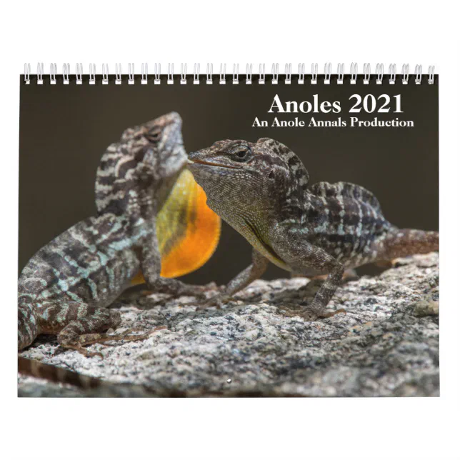 Anole Annals 2021 Calendar | Zazzle