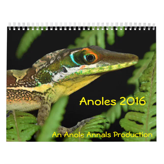 Anoles 2016 - An Anole Annals Production Calendar | Zazzle