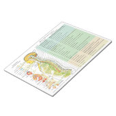 ANS Subluxation Effects Tear Off Pads | Zazzle