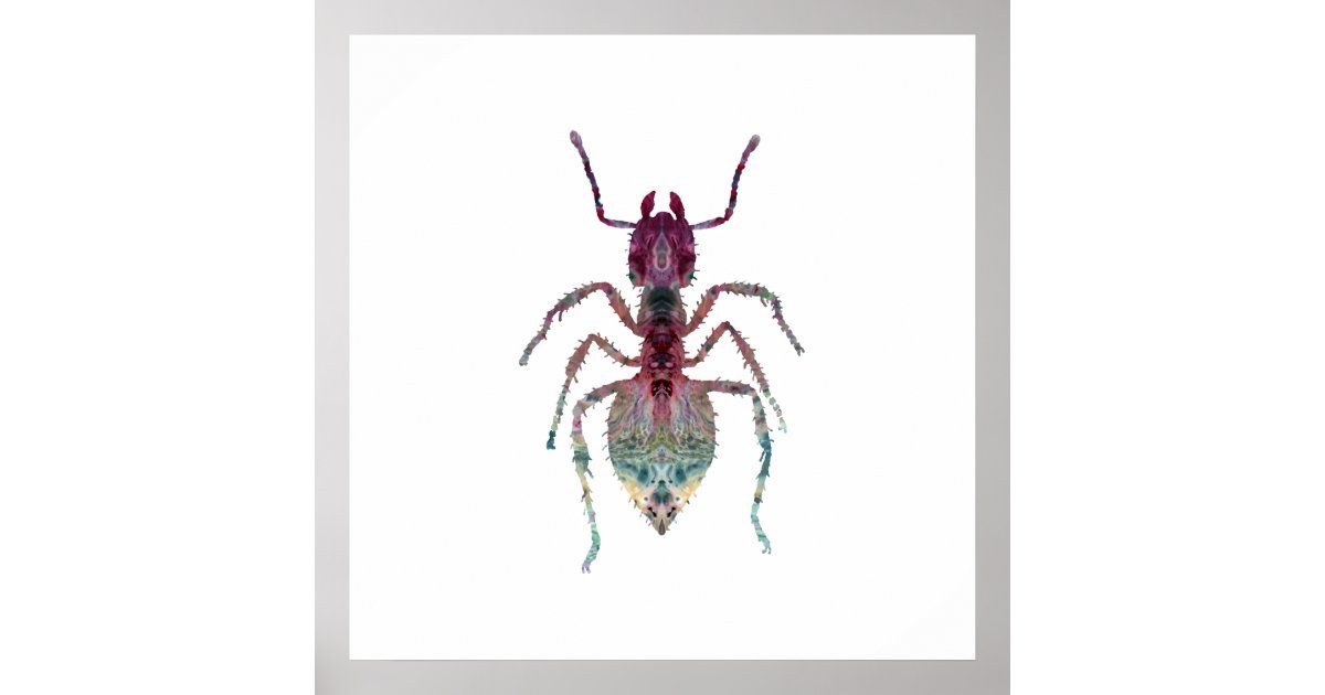 Ant Art Poster | Zazzle