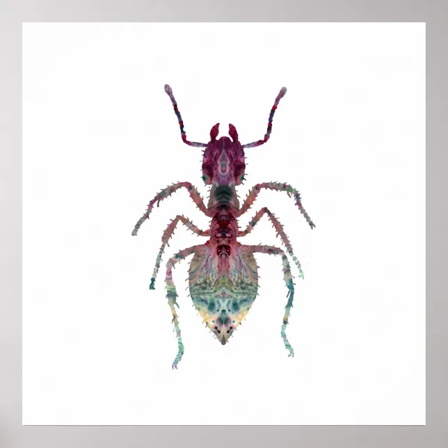 Ant Art Poster | Zazzle