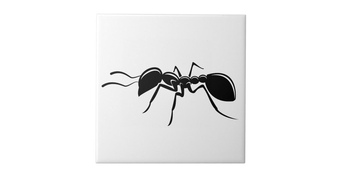 Ant drawing insect ceramic tile | Zazzle