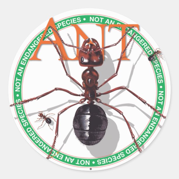 Ant Stickers | Zazzle