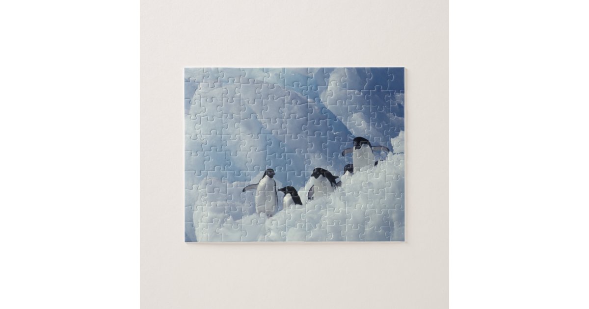 Antarctica. Adelie penguins Jigsaw Puzzle | Zazzle