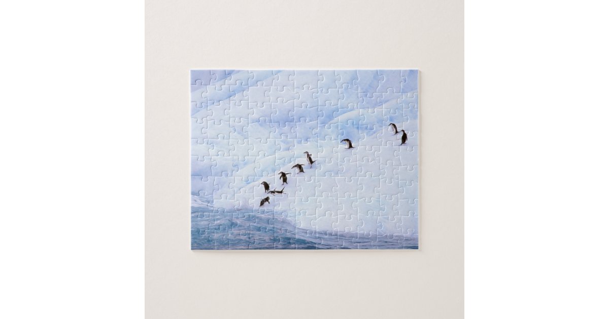 Antarctica, Antarctic Peninsula. Chinstrap Jigsaw Puzzle | Zazzle