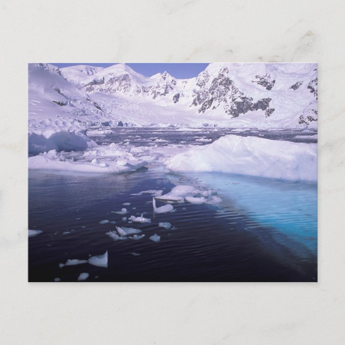 Antarctica. Expedition through icescapes Postcard | Zazzle.com
