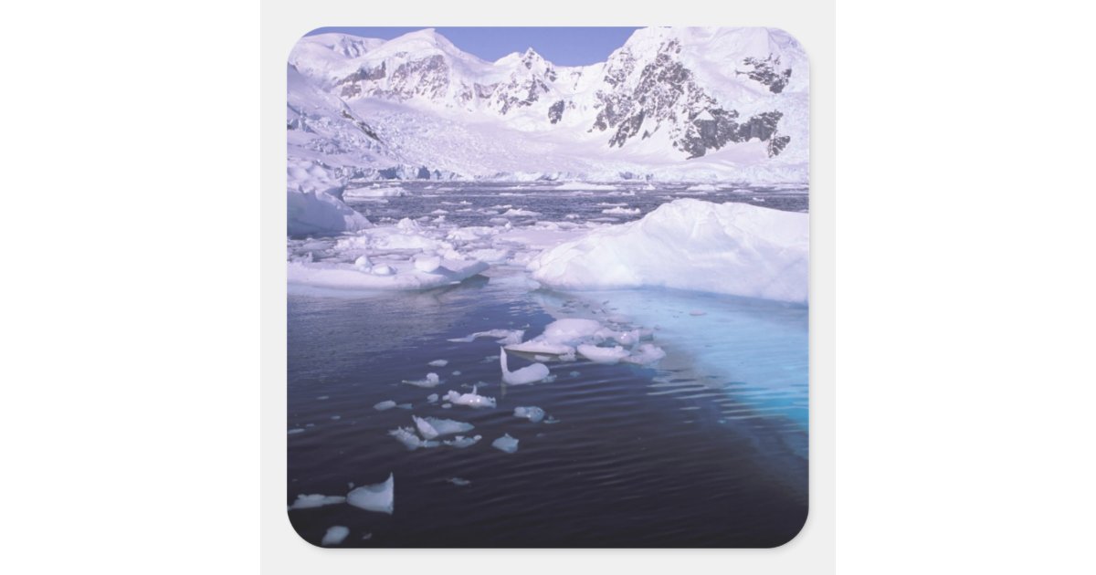 Antarctica. Expedition through icescapes Square Sticker | Zazzle