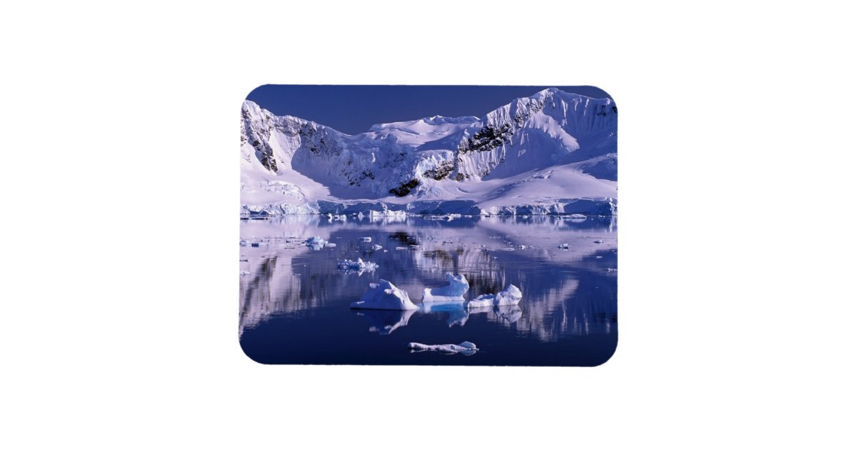Antarctica, Paradise Bay Magnet | Zazzle