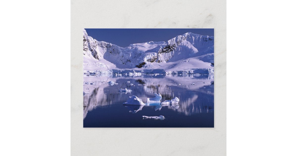 Antarctica, Paradise Bay Postcard | Zazzle