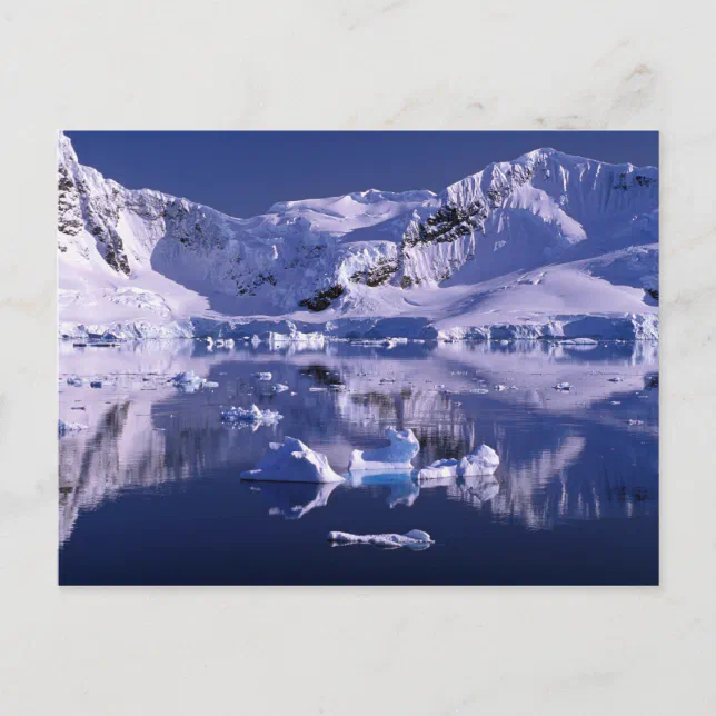 Antarctica, Paradise Bay Postcard | Zazzle